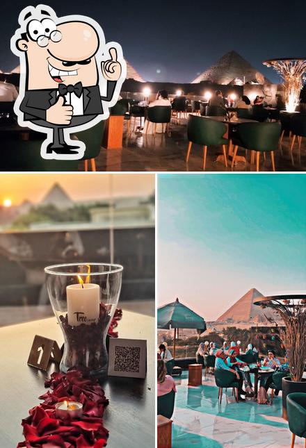 Tree Lounge Pyramids Branch, Giza - Restaurant menu, prices and reviews