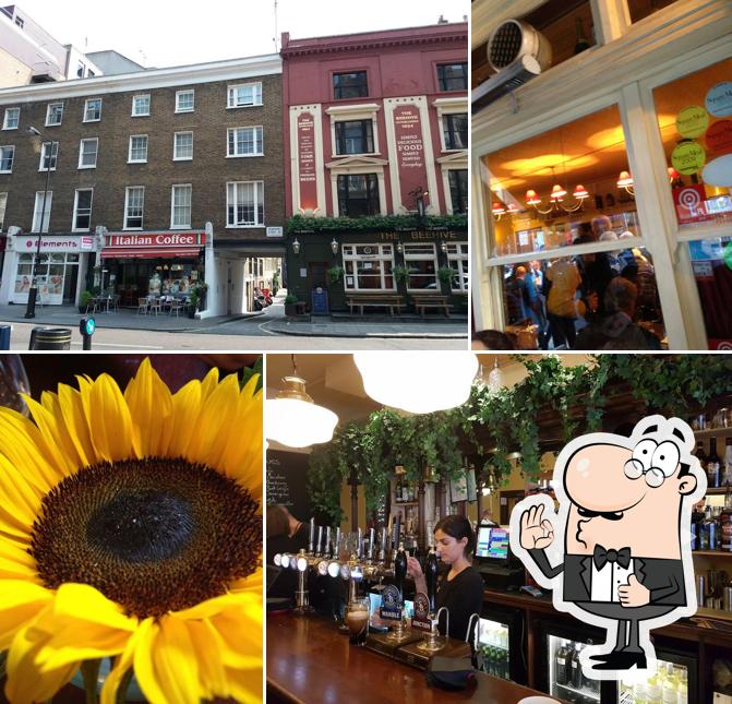 The Beehive Pub, 126 Crawford St in London - Restaurant menu and reviews