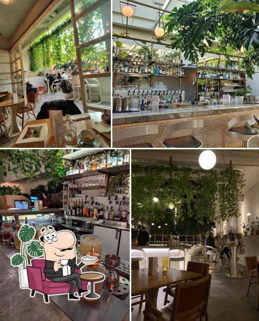 Perles et Paddock in Montreal - Restaurant reviews