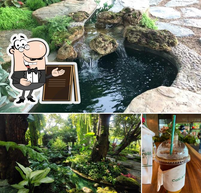 Café Amazon, Rayong - Restaurant menu, prices and reviews