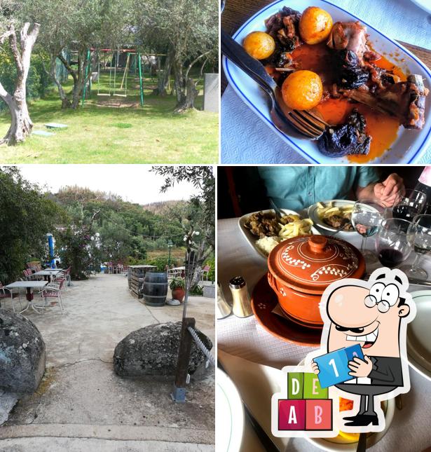 Restaurante Jardim das Oliveiras, Monchique, Sitio do Porto Escuro ... Restaurante Jardim das Oliveiras, Monchique, Sitio do Porto Escuro ...