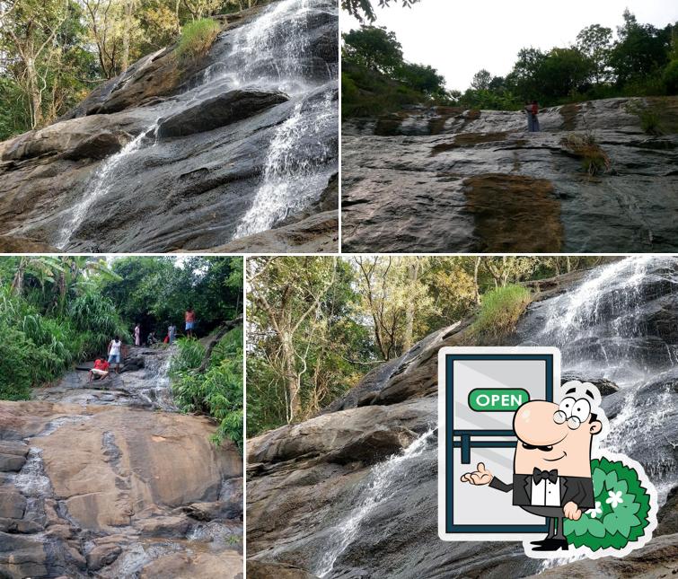The Waterfall Cafe, Yercaud - Restaurant reviews