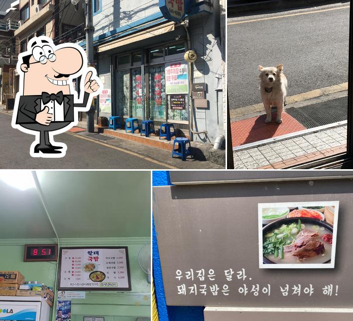 60-years Traditional Halmae Dwaeji-gukbap restaurant, Busan ...