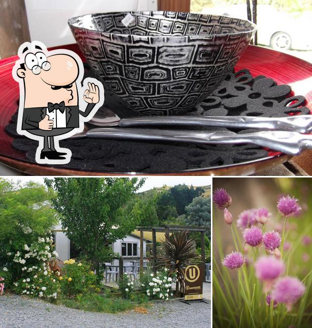 The Packingshed Cafe, 161 Early Valley Rd in Christchurch - Restaurant menu