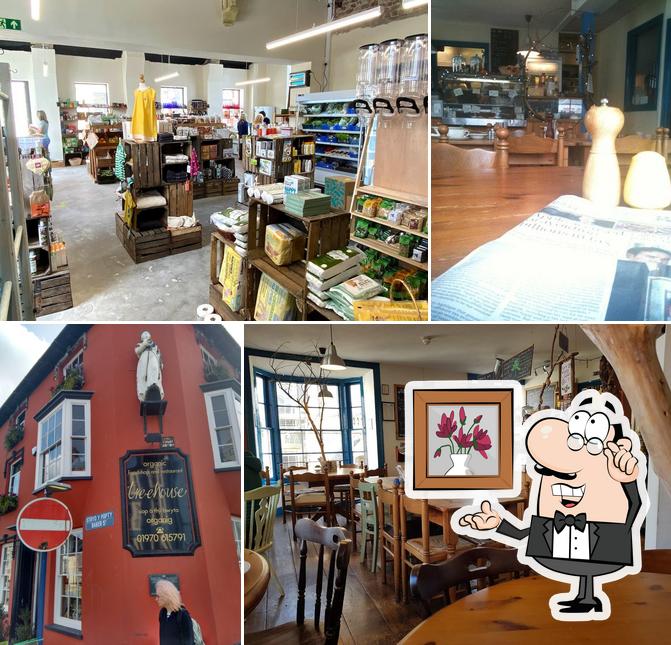 Treehouse, Aberystwyth - Restaurant menu, prices and reviews