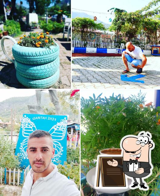 Feke Alaçatı Cafe, Feke - Restaurant reviews
