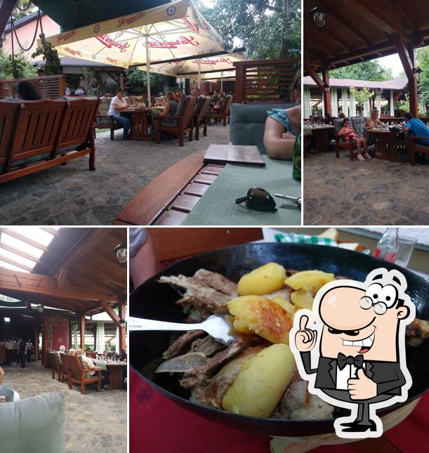 Kulin dvor restaurant, Semizovac - Restaurant reviews