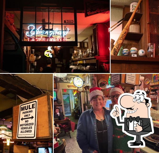 Red Mule Pub, 1208 S Broad St in Brooksville - Restaurant menu and reviews