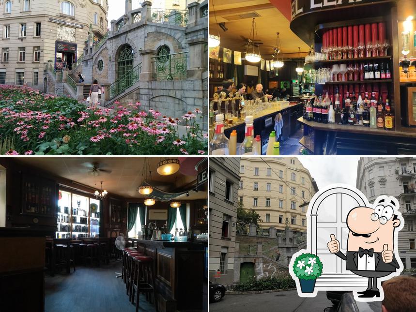 Laurel Leaf Irish Pub Vienna, Vienna, Theobaldgasse 15 - Restaurant ...