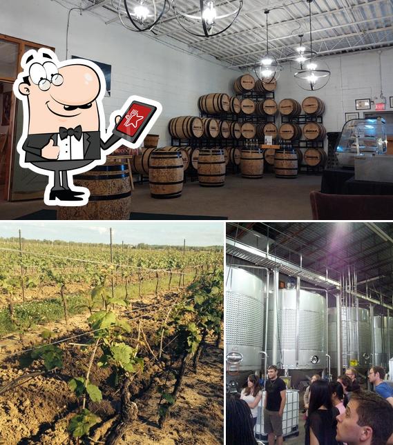Magnotta Winery in Lincoln