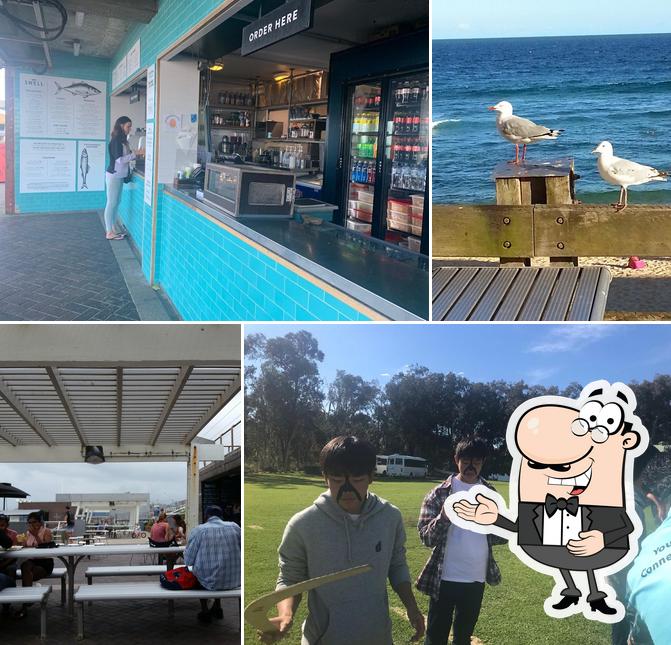Swell Kiosk Bar Beach, Bar Beach - Restaurant menu, prices and reviews