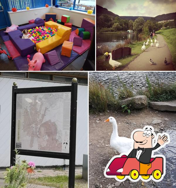 Cambrian Lakeside Cafe Bar, Tonypandy - Restaurant menu, prices and reviews