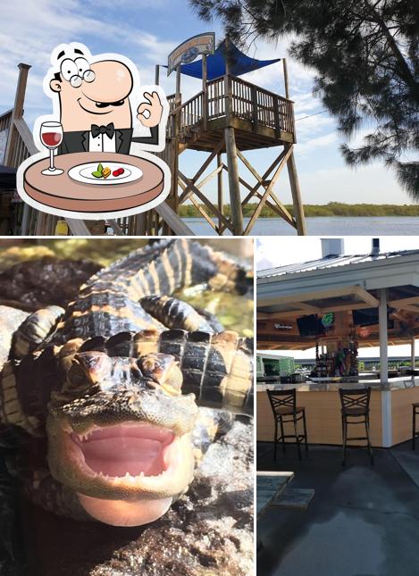 Camp Holly Airboat Rides, Melbourne - Restaurant menu, prices and reviews
