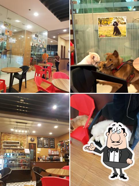 Barking Cafe, Iloilo City - Restaurant menu, prices and reviews