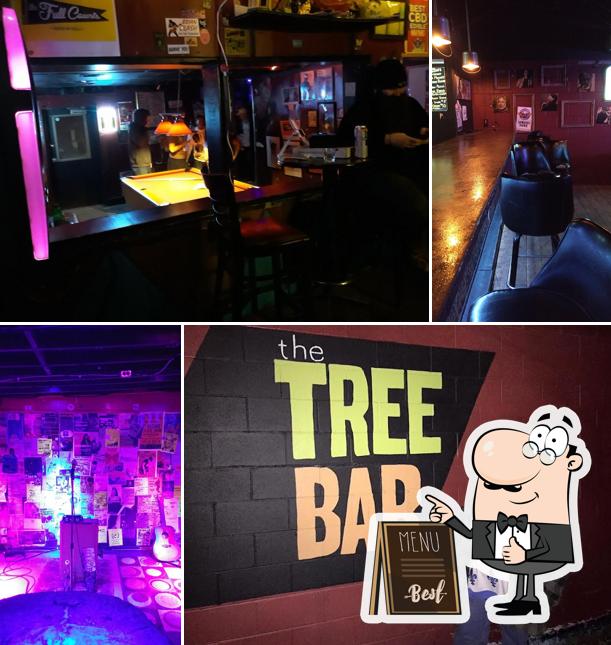 Tree Bar, 919 McMillen Ave in Columbus - Restaurant reviews