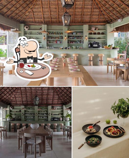 Distrito Panamera: Restaurant, Rooftop, Beachclub & Art, Mexico ...