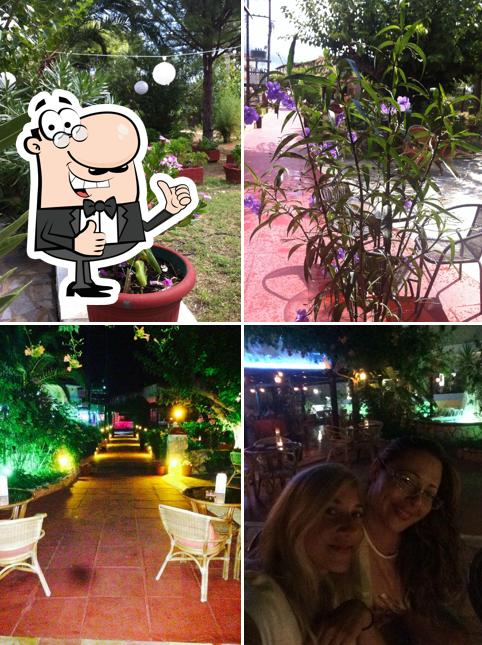 Paradise cocktail bar, Laganas, Lagana - Restaurant reviews