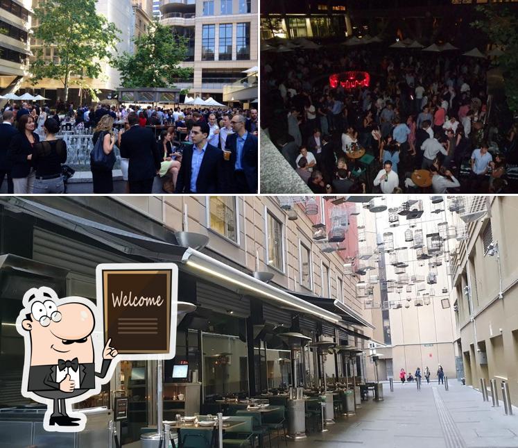 Ryan's Bar in Sydney - Restaurant menu and reviews