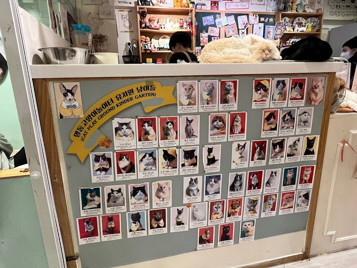 Carta del café Cats' Playground, Seul
