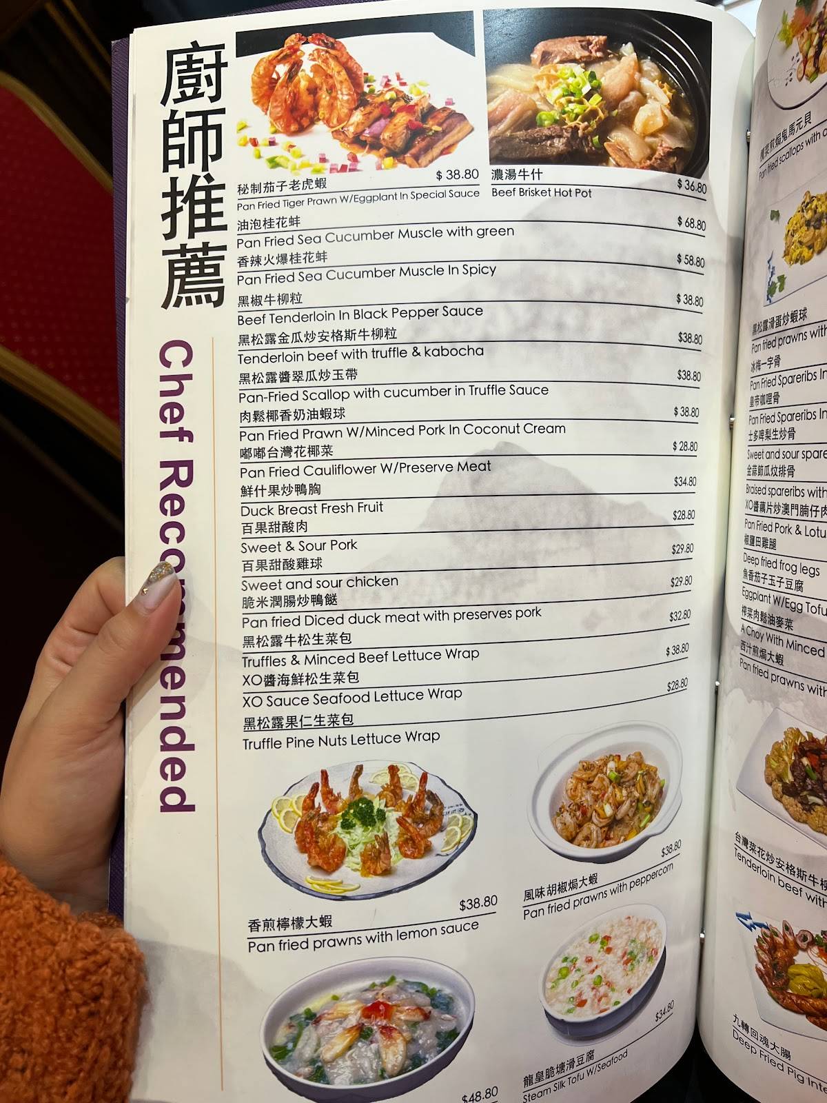 Menu at Fortune Terrace Chinese Cuisine restaurant, Richmond