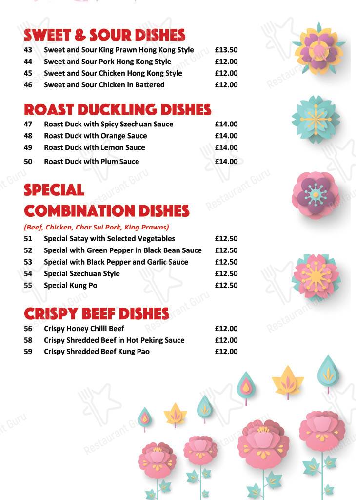 Menu at Good Fortune restaurant, Belfast, Eastleigh Dr
