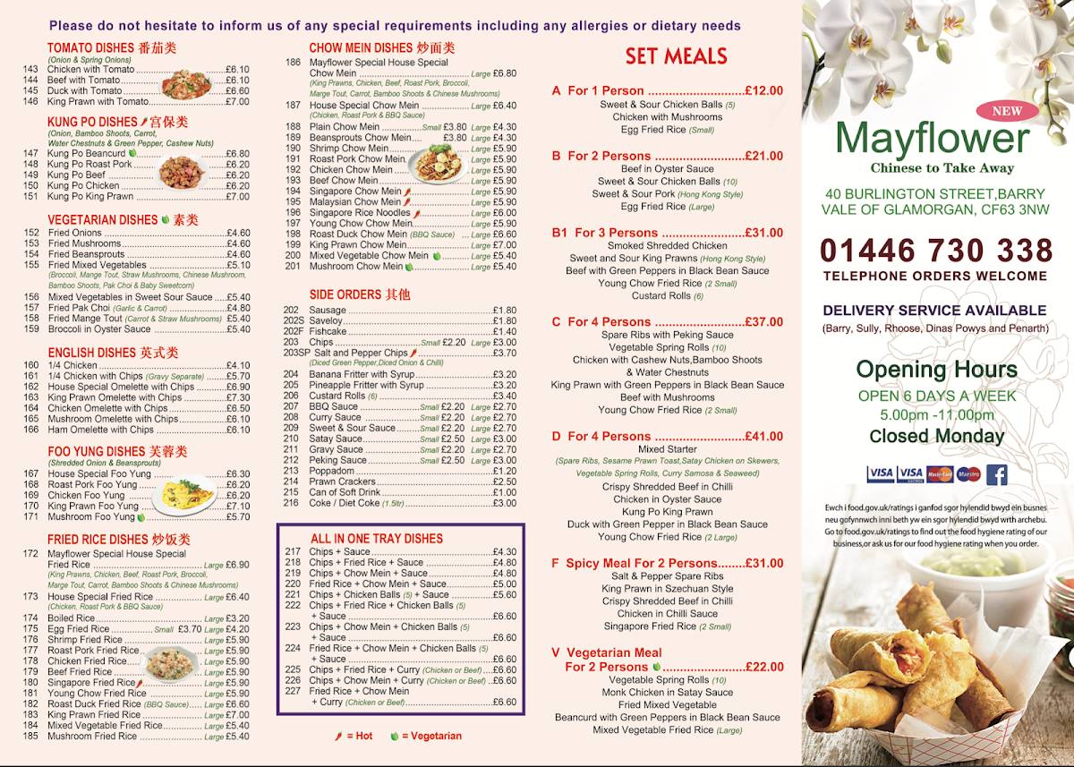 Menu at Mayflower Chinese Takeaway fast food, Barry