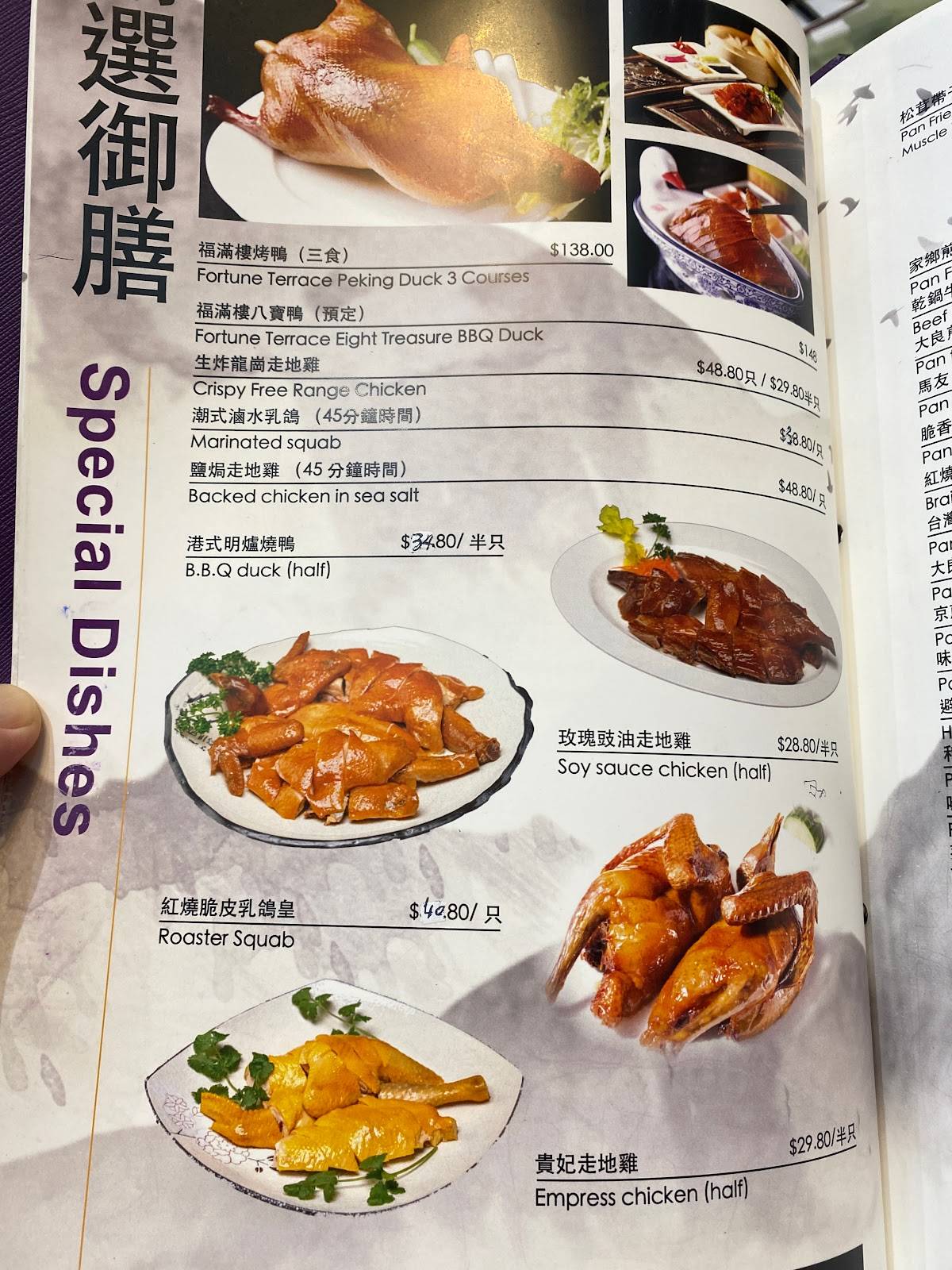 Menu at Fortune Terrace Chinese Cuisine restaurant, Richmond