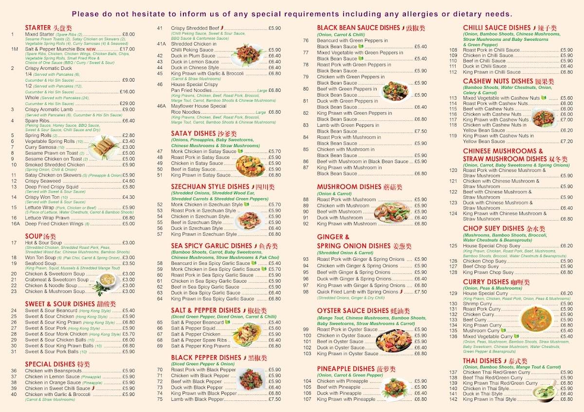 Menu at Mayflower Chinese Takeaway fast food, Barry
