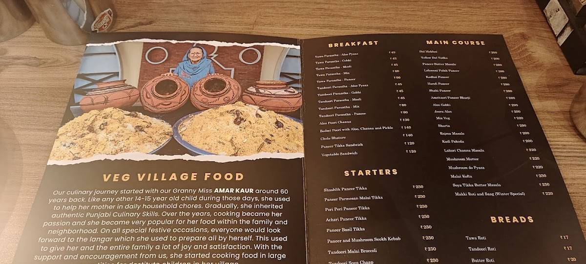 Menu at Veg Village Food, Chandigarh