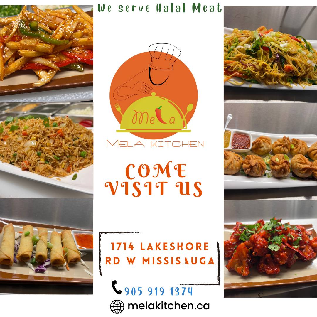 Menu at Mela Kitchen (Authentic Indian Chinese Hakka Cuisine ...