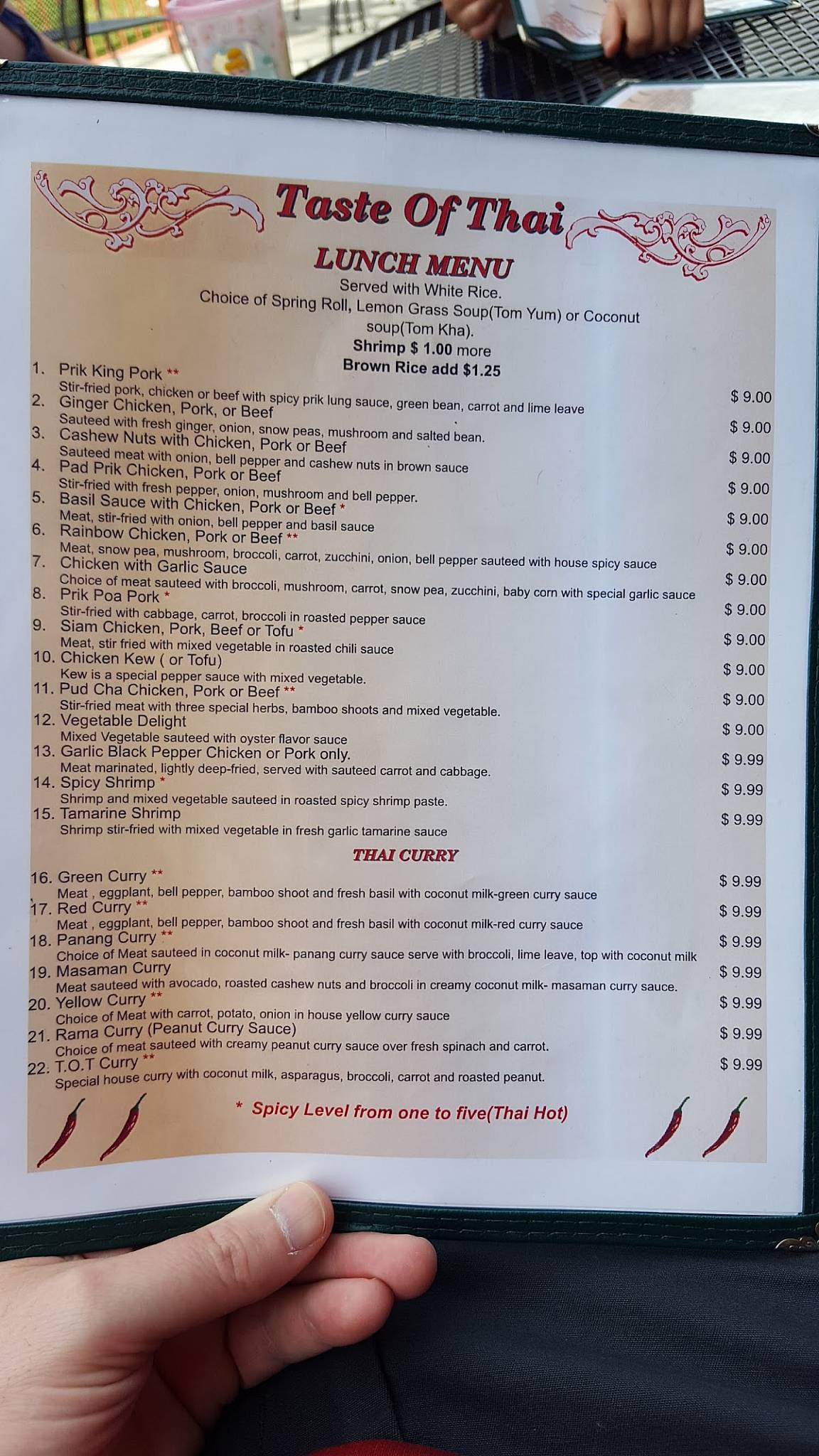 Menu at Taste of Thai restaurant, Knoxville