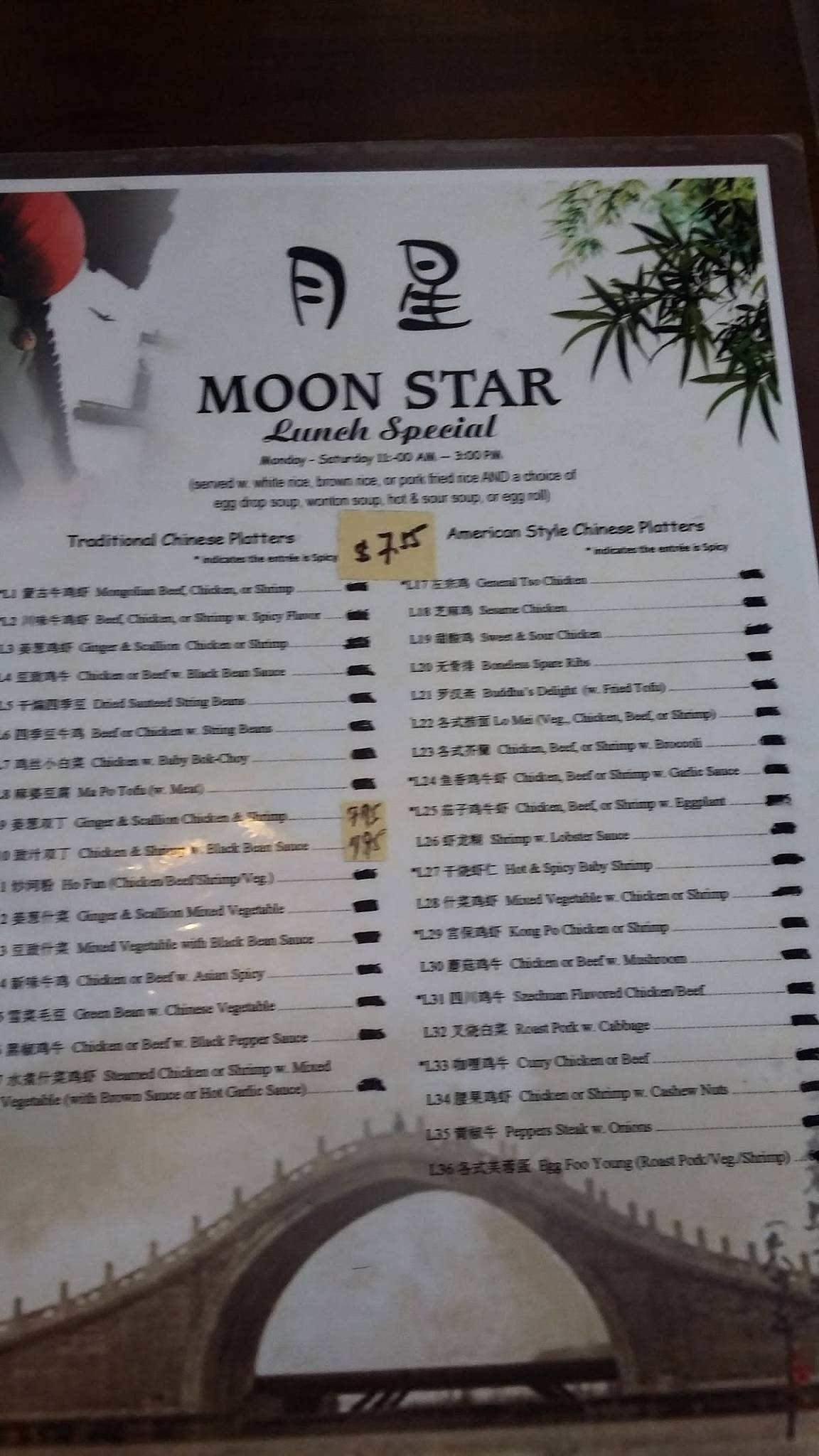 Menu at Moon Star restaurant, Endicott, E Main St