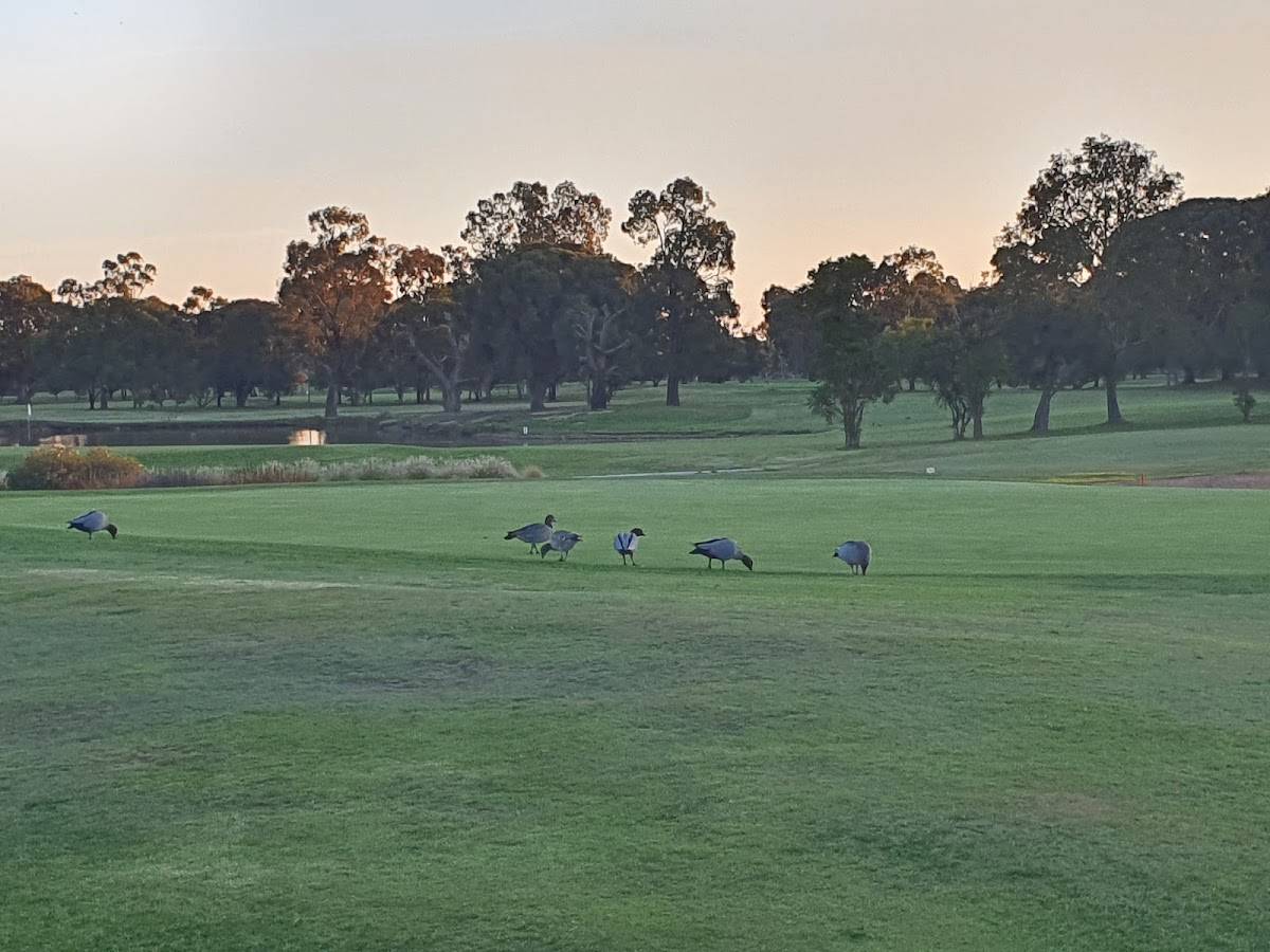 Menu at Rich River Golf Club, Moama