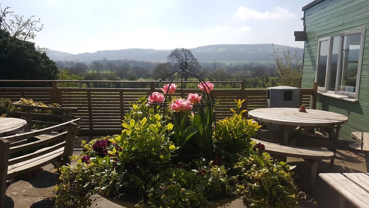 Menu at Banwell Garden Centre cafe, Banwell