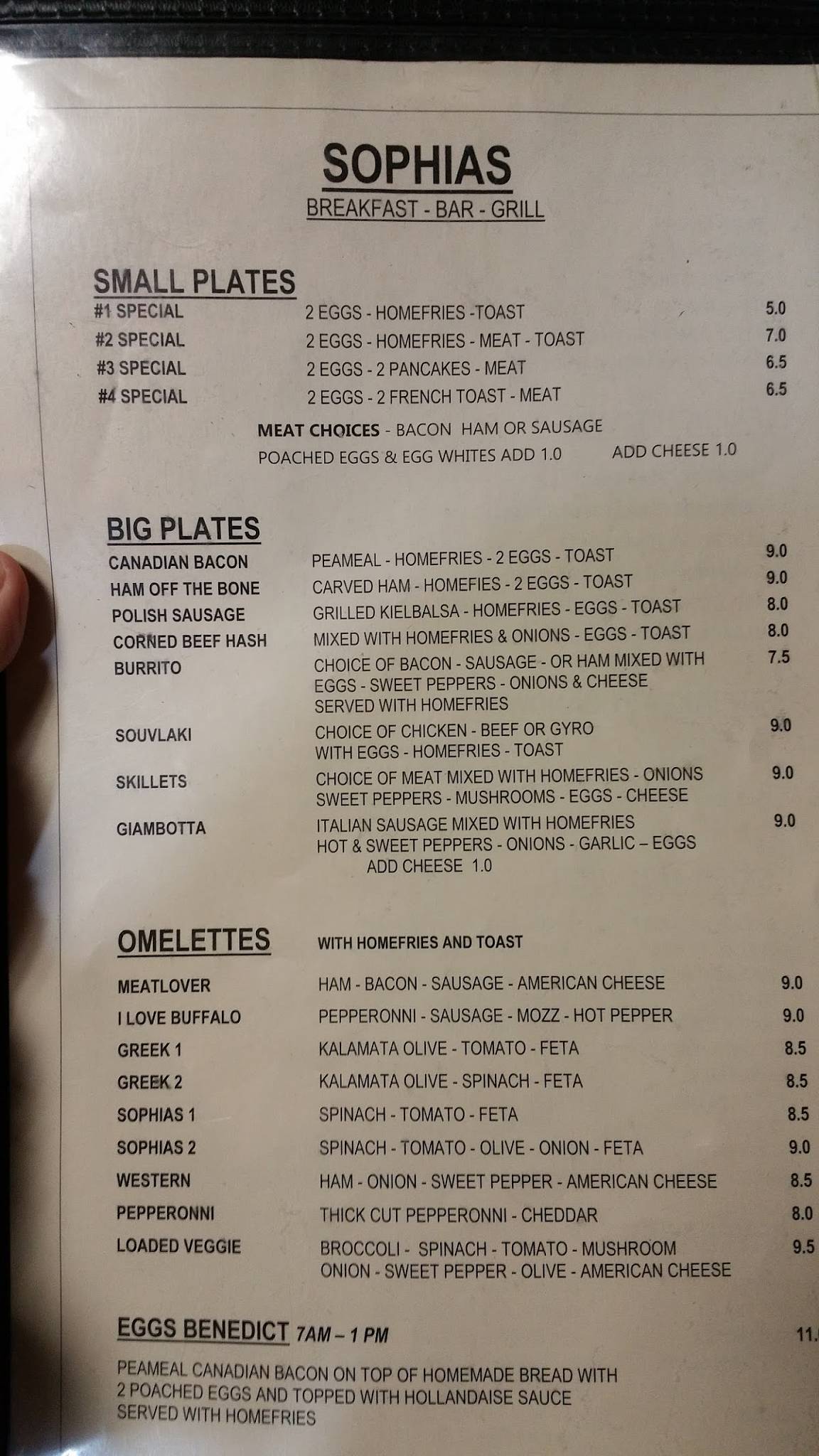 Menu at Sophia's Restaurant, Buffalo
