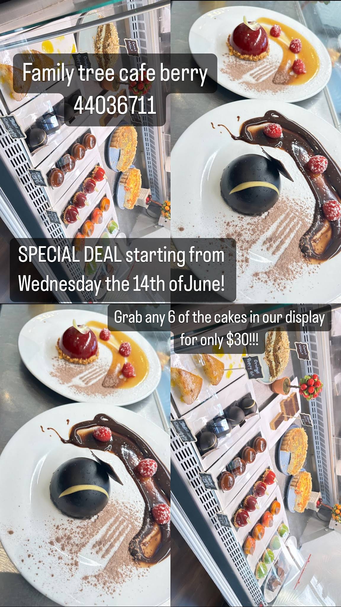 Menu at Family Tree Cafe & Restaurant, Berry