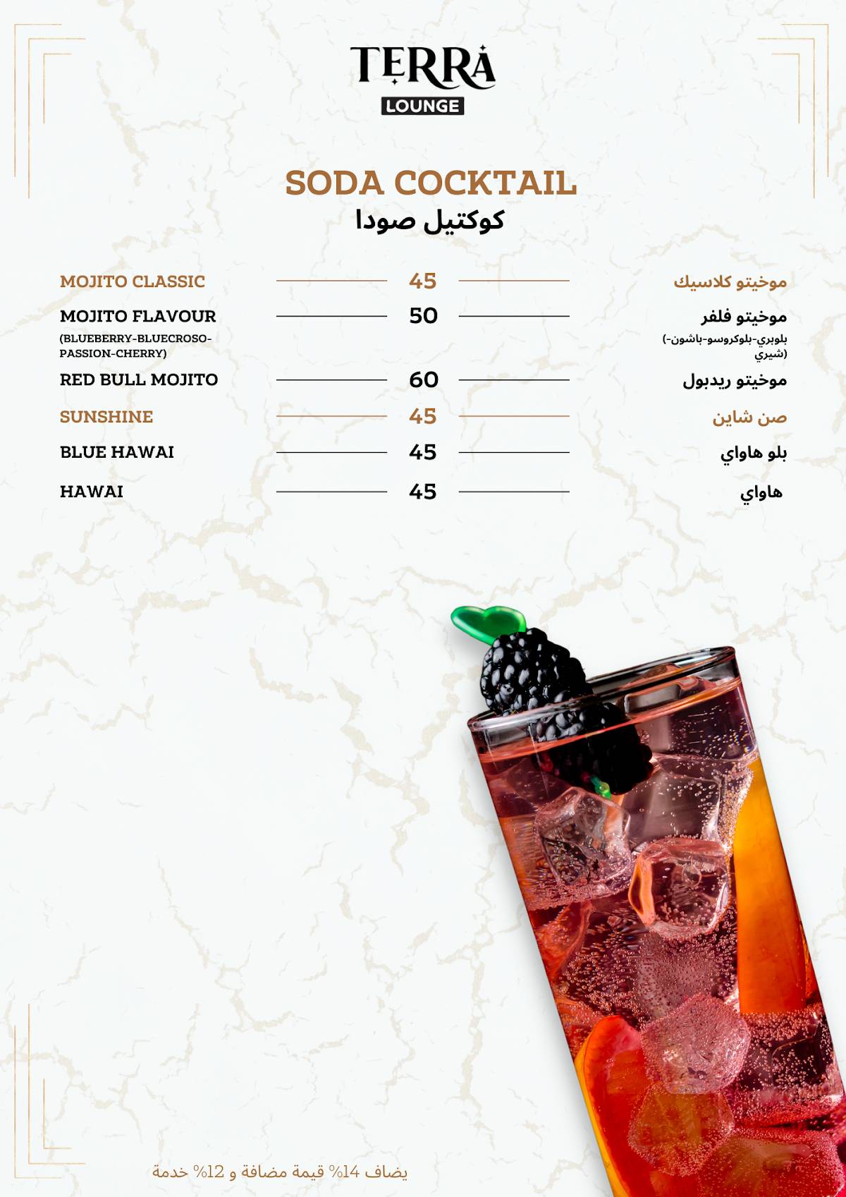 Menu at Terra Lounge restaurant, New Cairo City