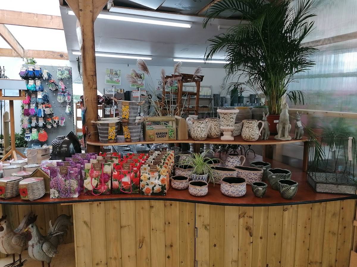 Menu at Banwell Garden Centre cafe, Banwell