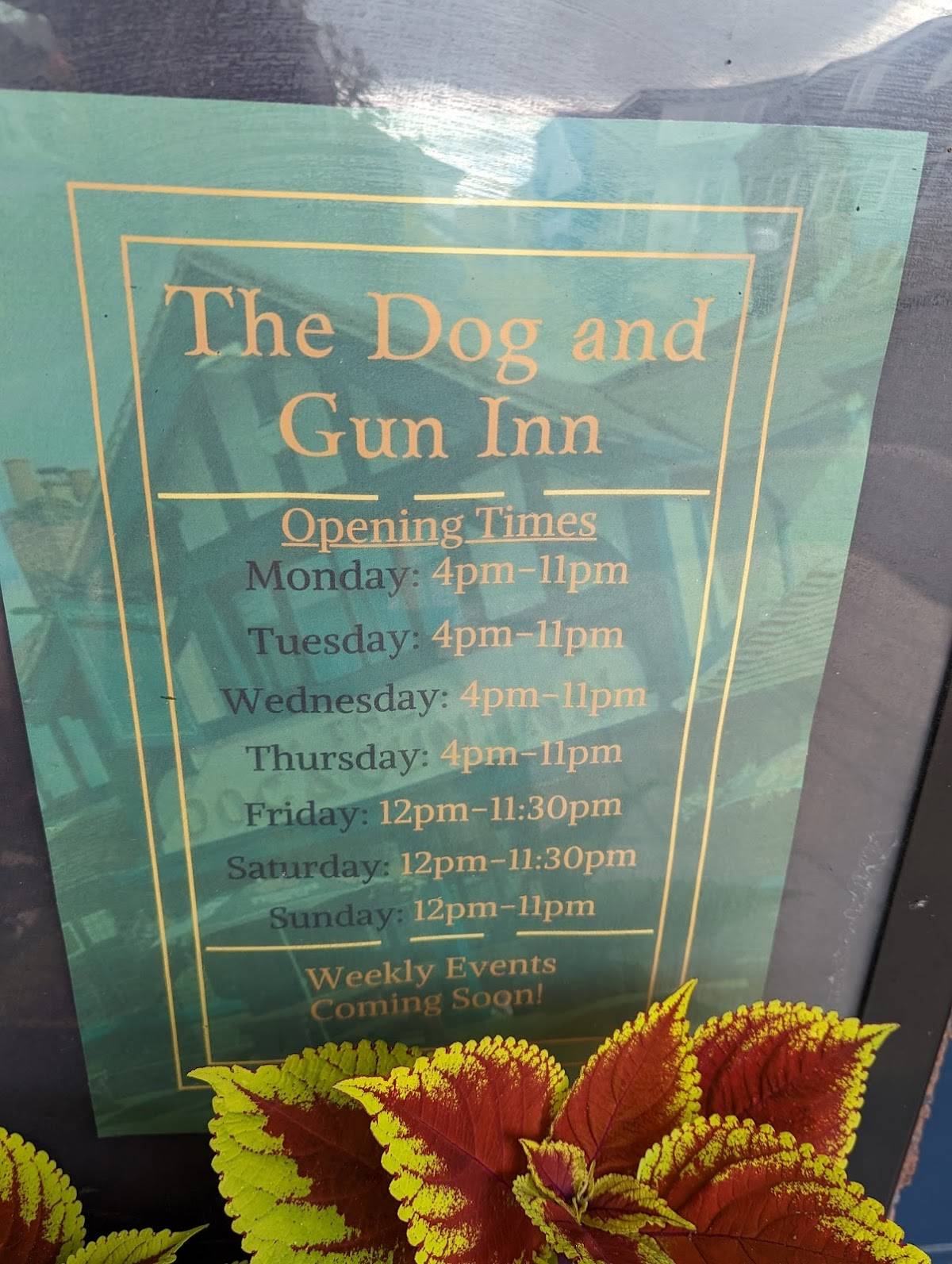 Menu at Dog & Gun Inn pub & bar, Ormskirk