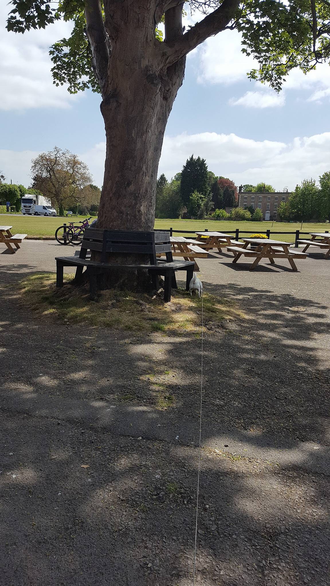 Menu at The Bell Inn pub & bar, Frampton on Severn