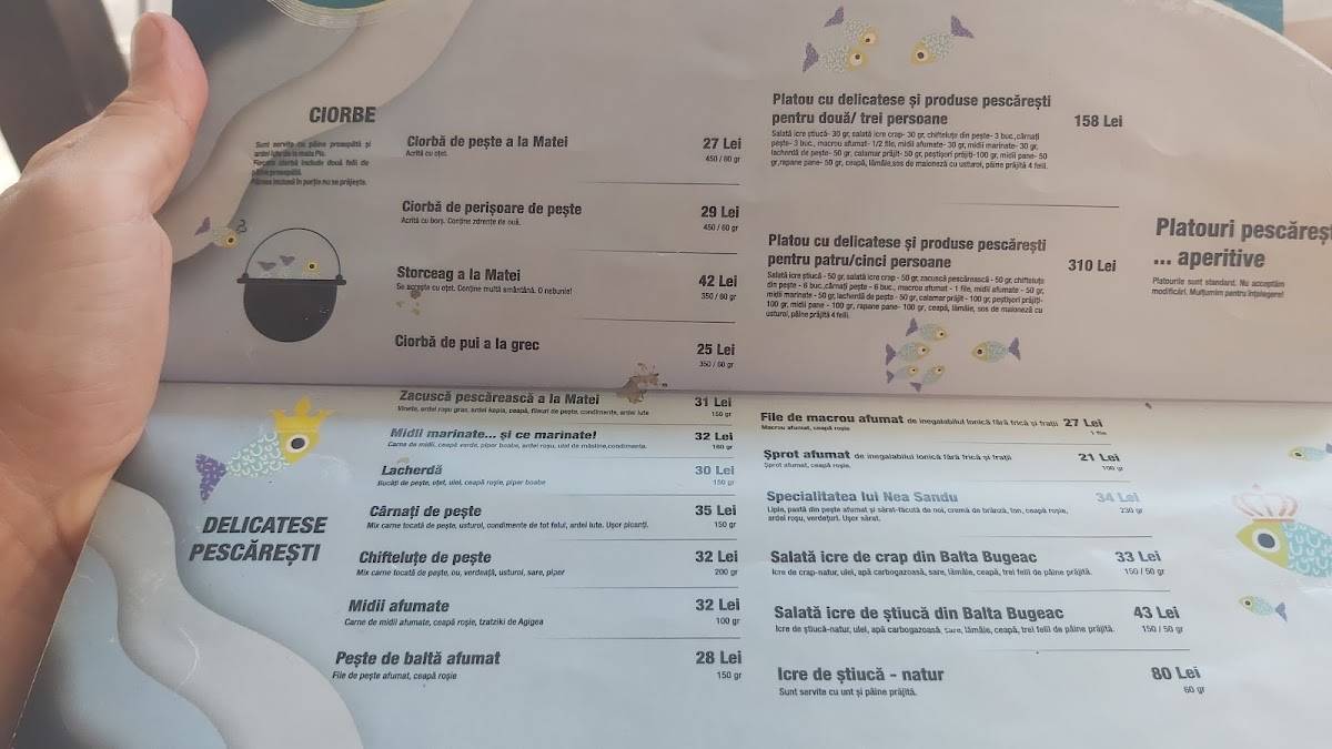 Menu at Pescăria lui Matei, Agigea, Strada Meduzei 4