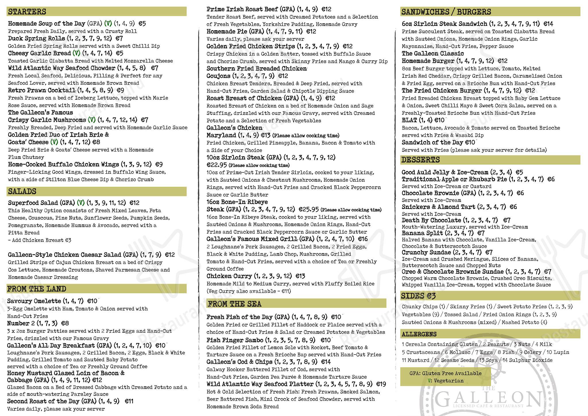 Menu at The Galleon Restaurant, Galway