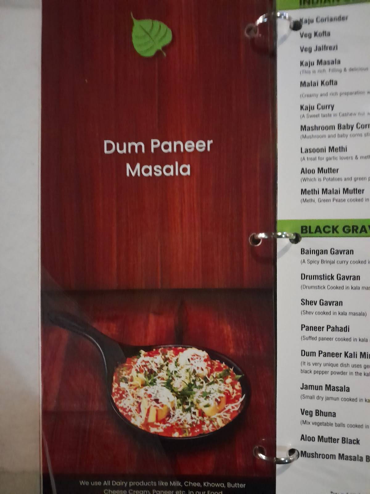 Menu at The Vegan Veg Restaurant, Aurangabad