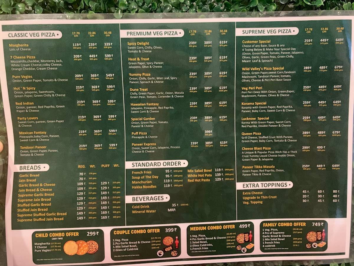Menu at Wild Valley’s Pizza Visnagar, Visnagar