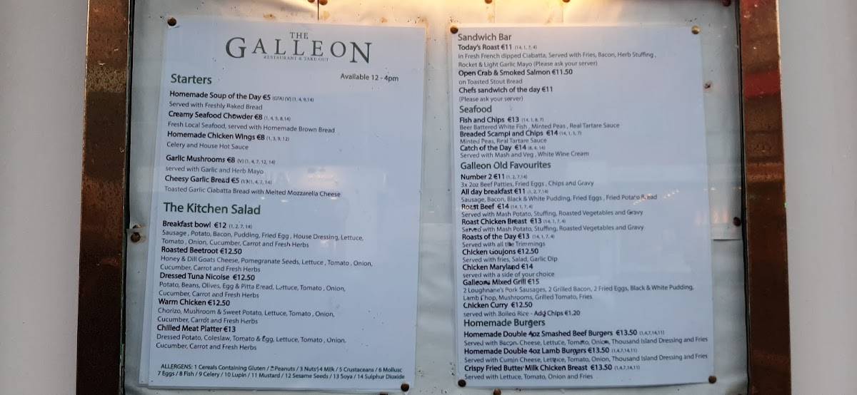 Menu at The Galleon Restaurant, Galway