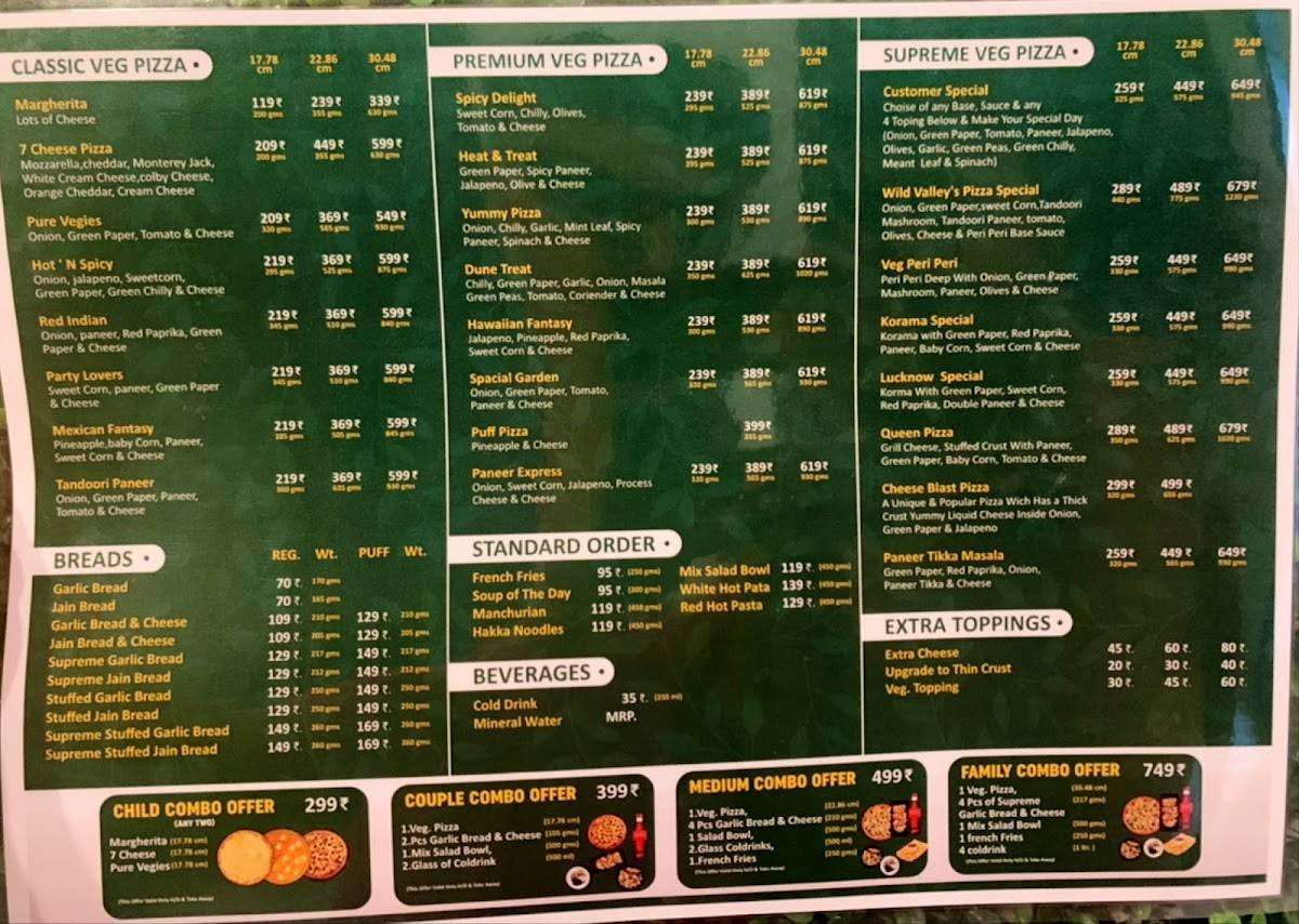 Menu at Wild Valley’s Pizza Visnagar, Visnagar