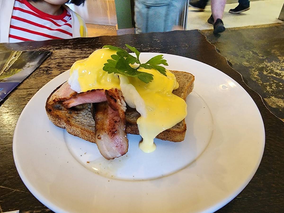 Menu at The Loaf & Lounge cafe, Camperdown