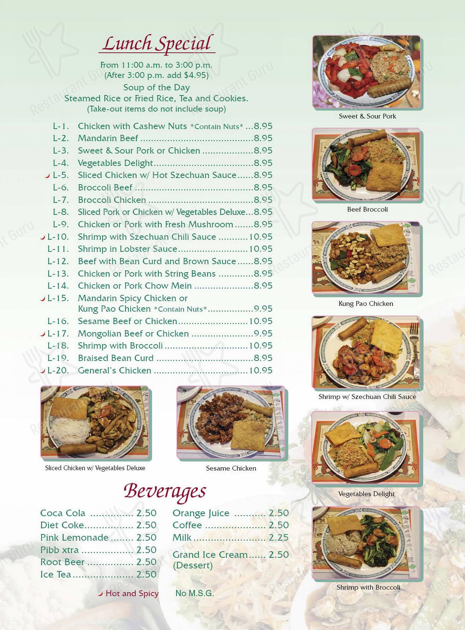 Menu at Twin Dragon restaurant, Auburn