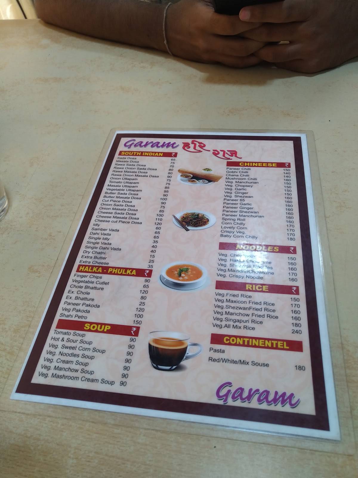 Menu at Hari Raj Pure Veg Restaurant, Durg, Civic Center