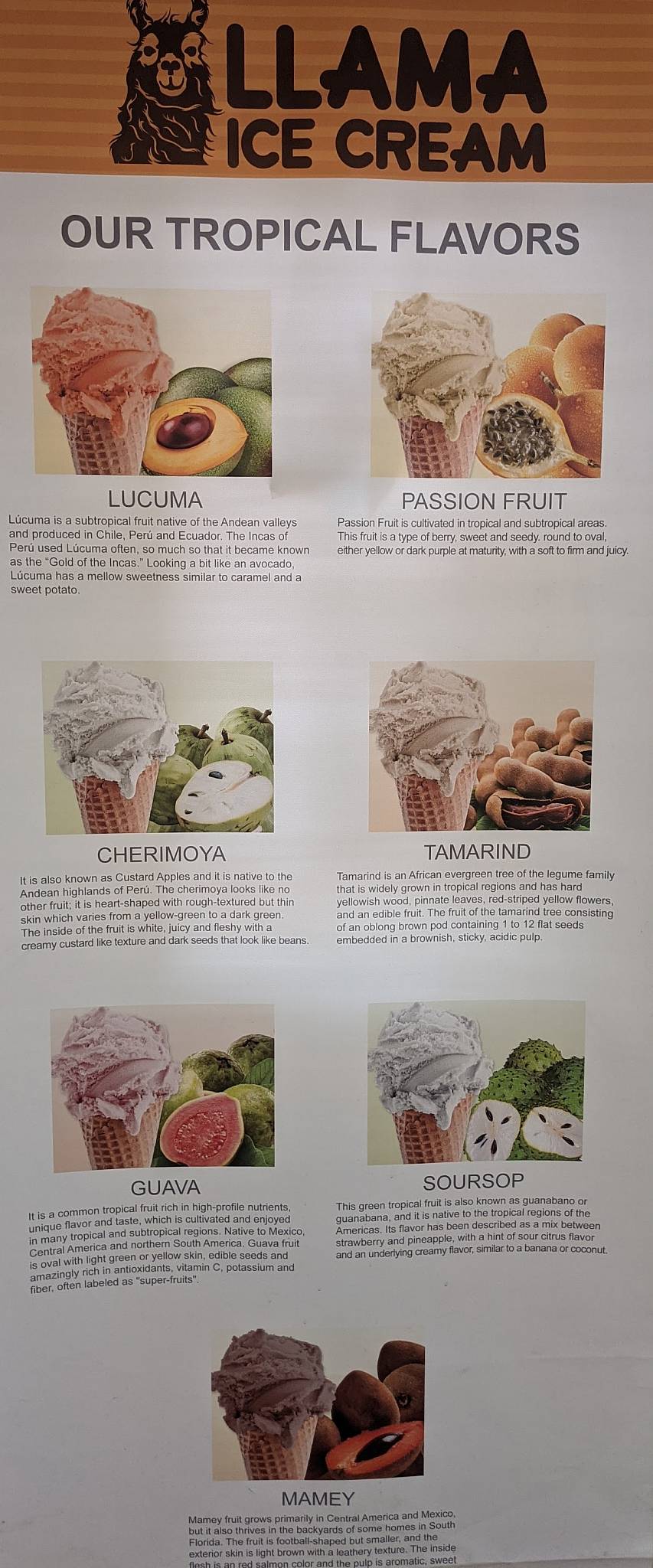 Menu at Llama Ice Cream restaurant, East Stroudsburg
